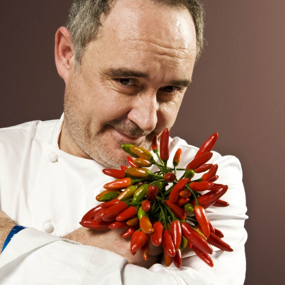 El Bulli Chefs at NOBRAND Premises THE BLUE HOUSE – Nobrand Agency